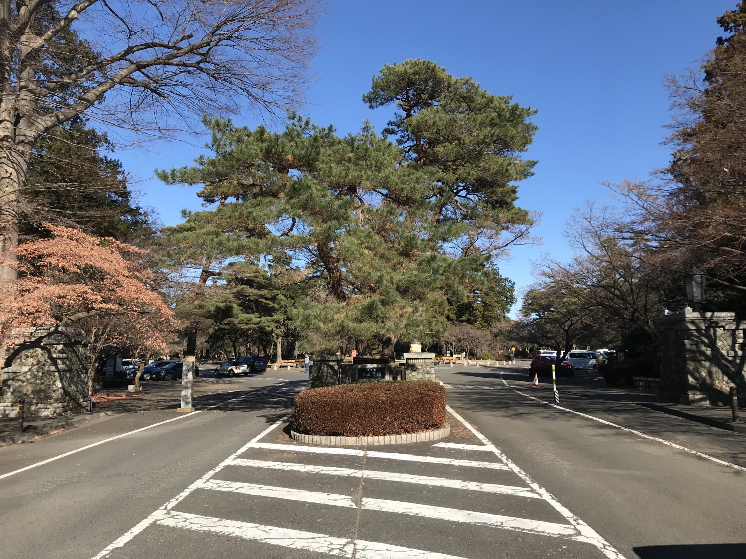 多磨霊園（東京・府中） | agataJapan.tokyo